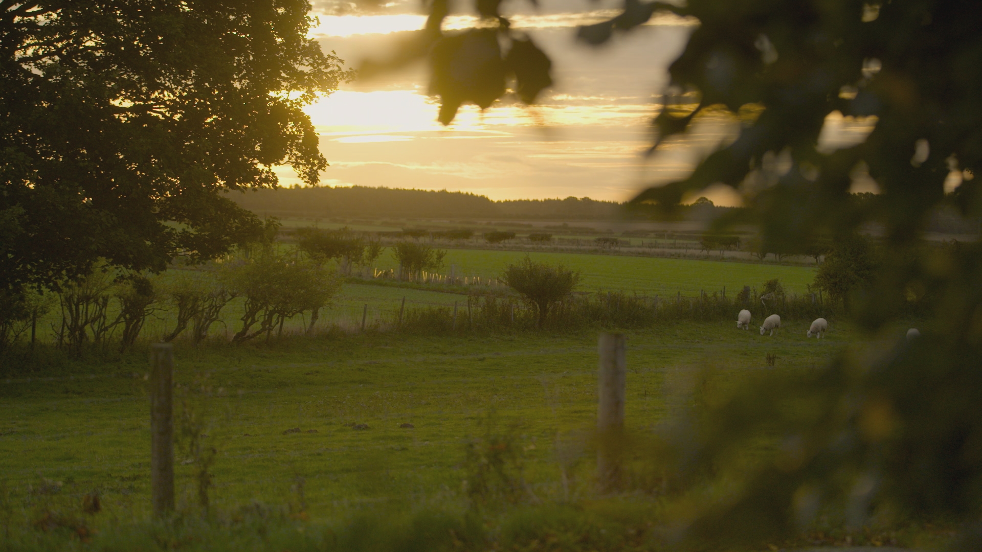 The Plough, Fadmoor – More than a pub